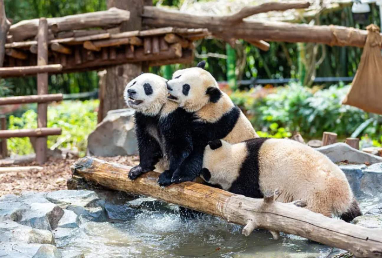 [Private Customized Tour] 3-Day Private Tour to Jiuzhaigou, Sichuan ...